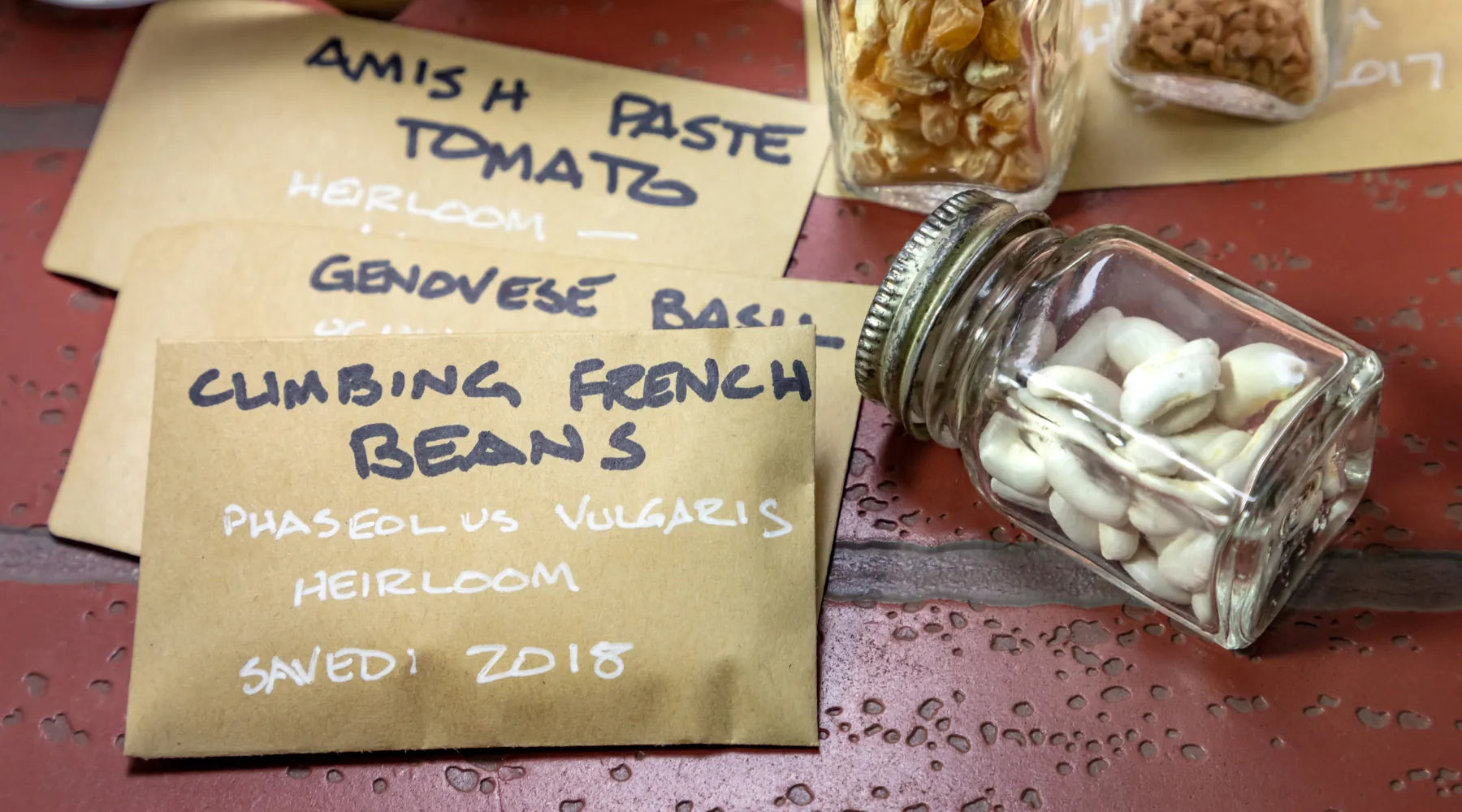 The Ultimate Guide to Companion Planting for a Thriving, Sustainable G ...