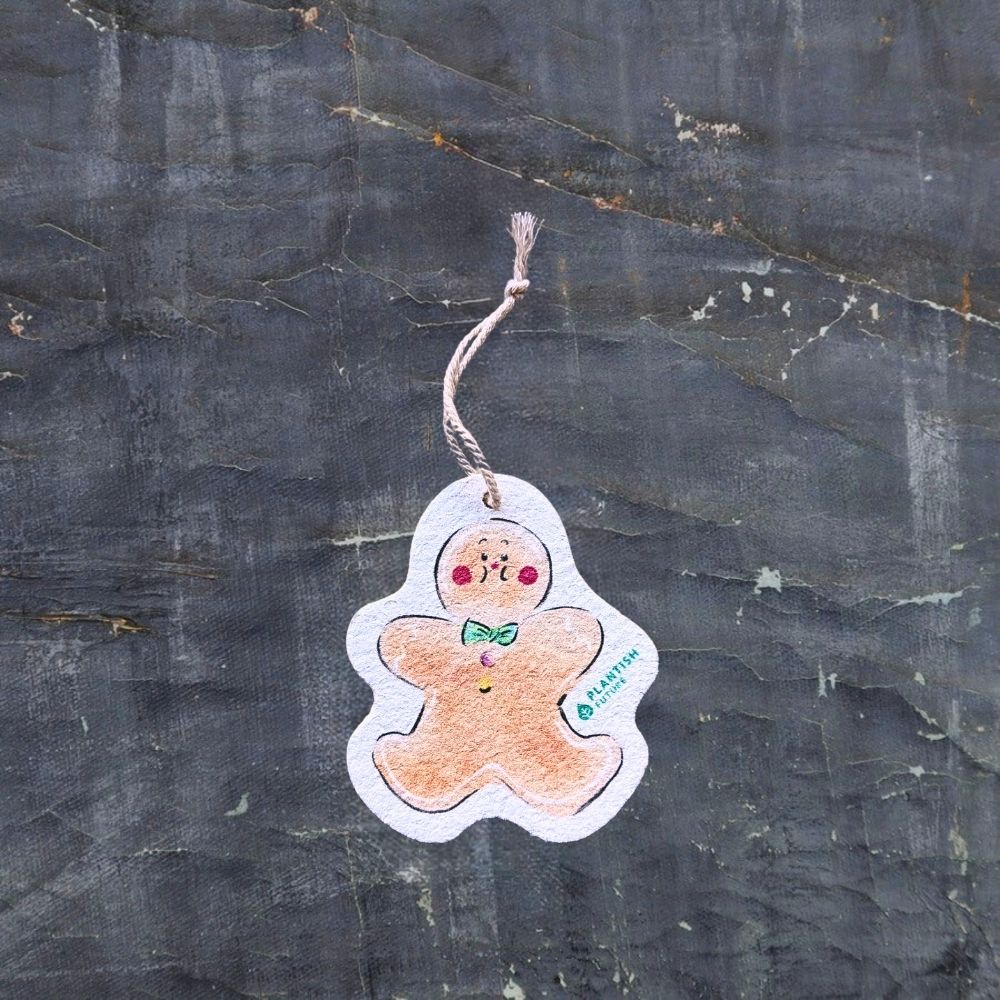 Gingerbread Man - Pop Up Sponge – Plantish