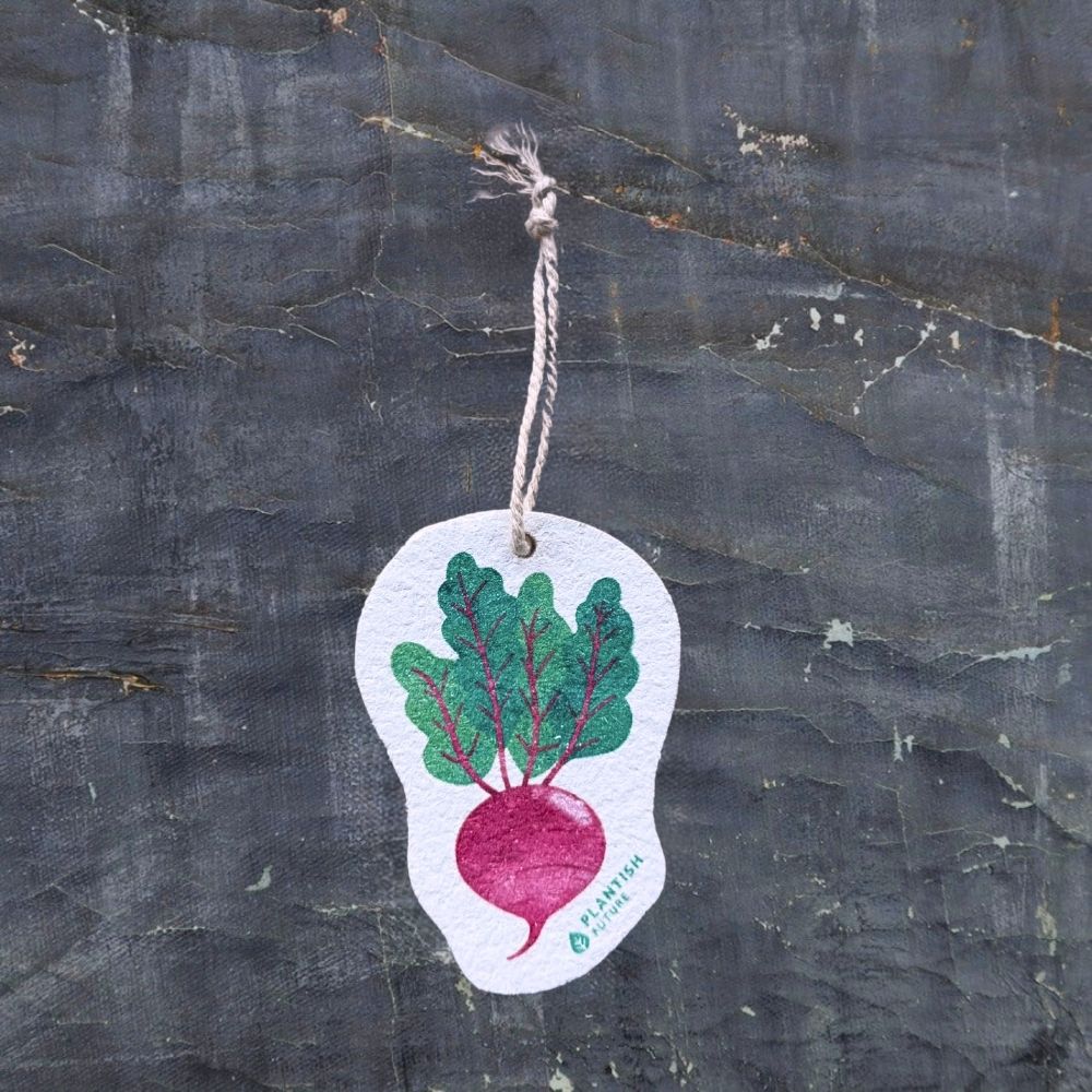 Beet Green - Pop Up Sponge – Plantish