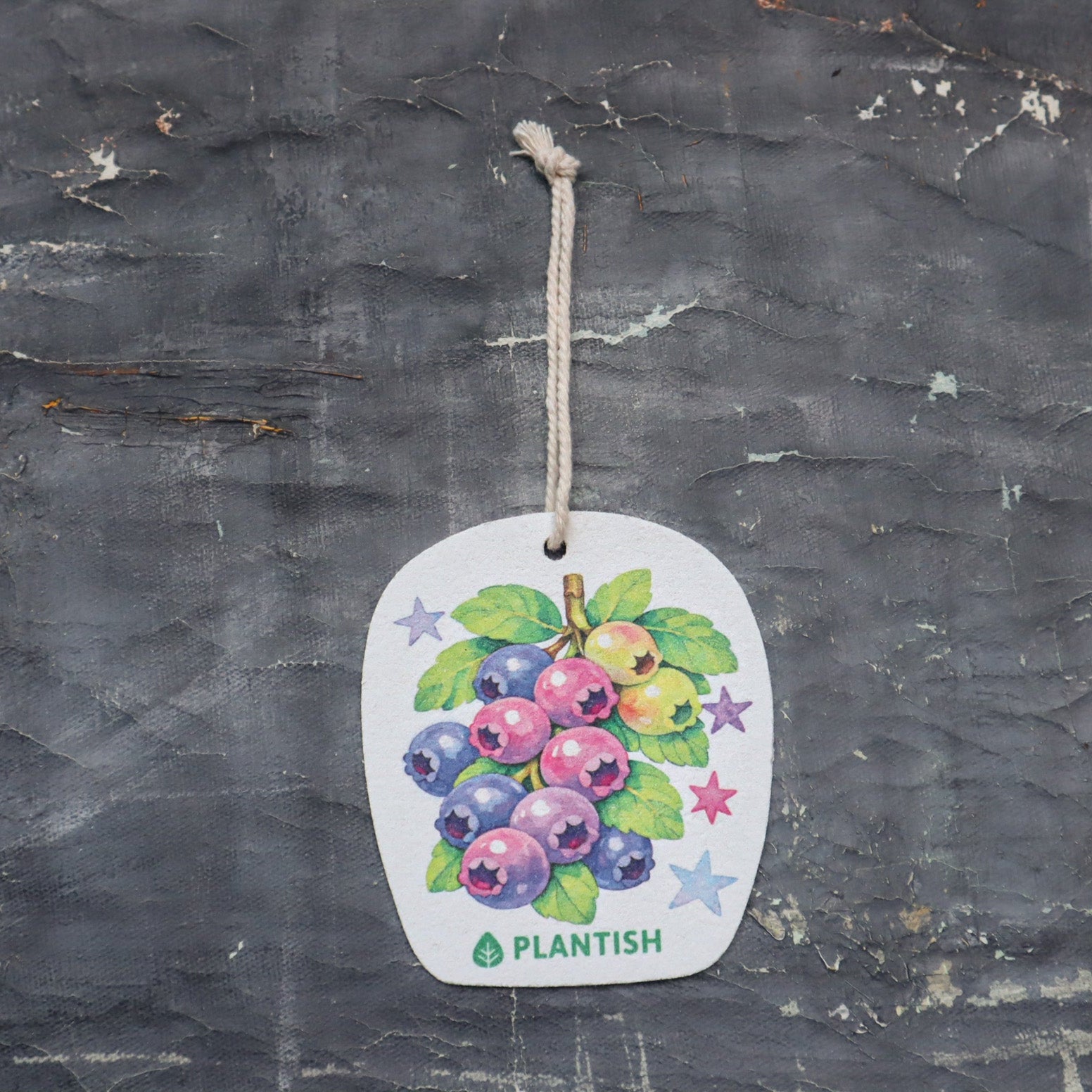 Blueberry - Pop up Sponge – Plantish