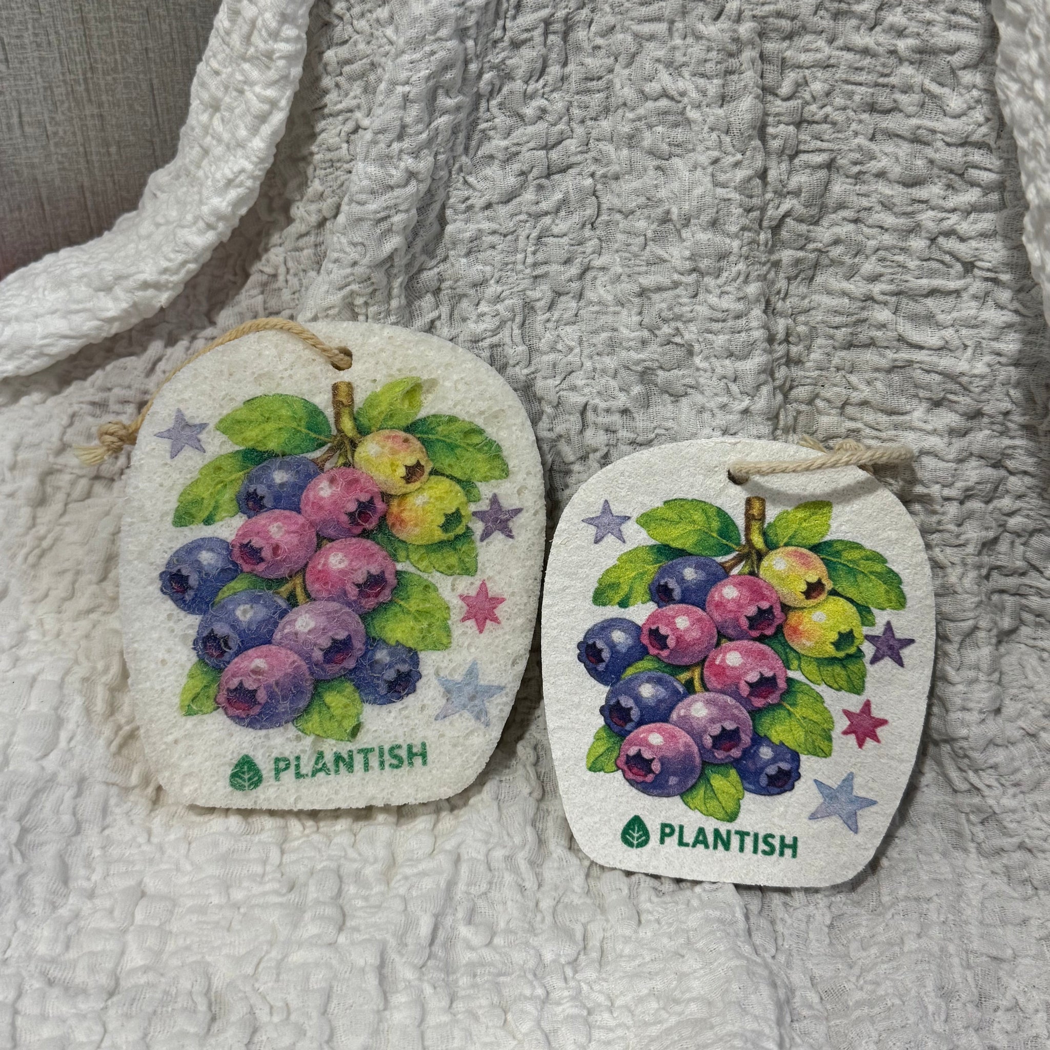 Blueberry - Pop up Sponge – Plantish