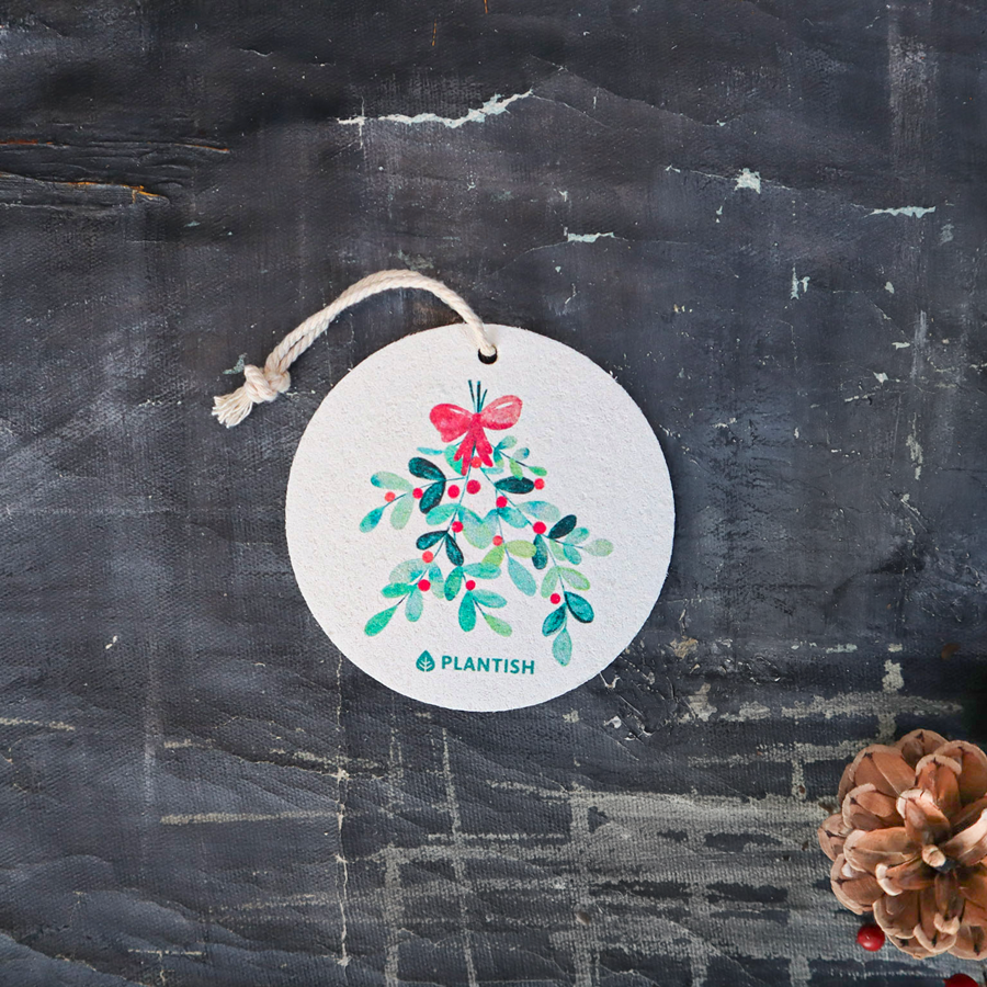 Mistletoe - Pop Up Sponge (Holiday Exclusive) – Plantish