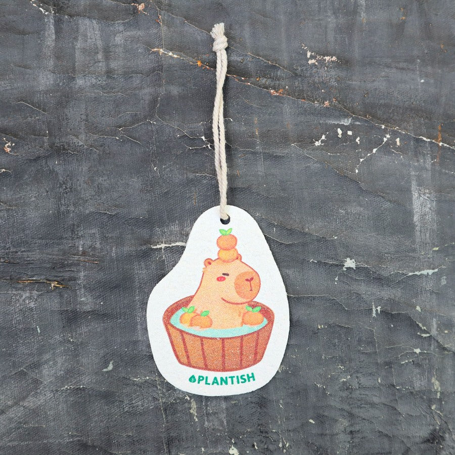 Hot Bath - Pop up Sponge (Capybara Creations) – Plantish