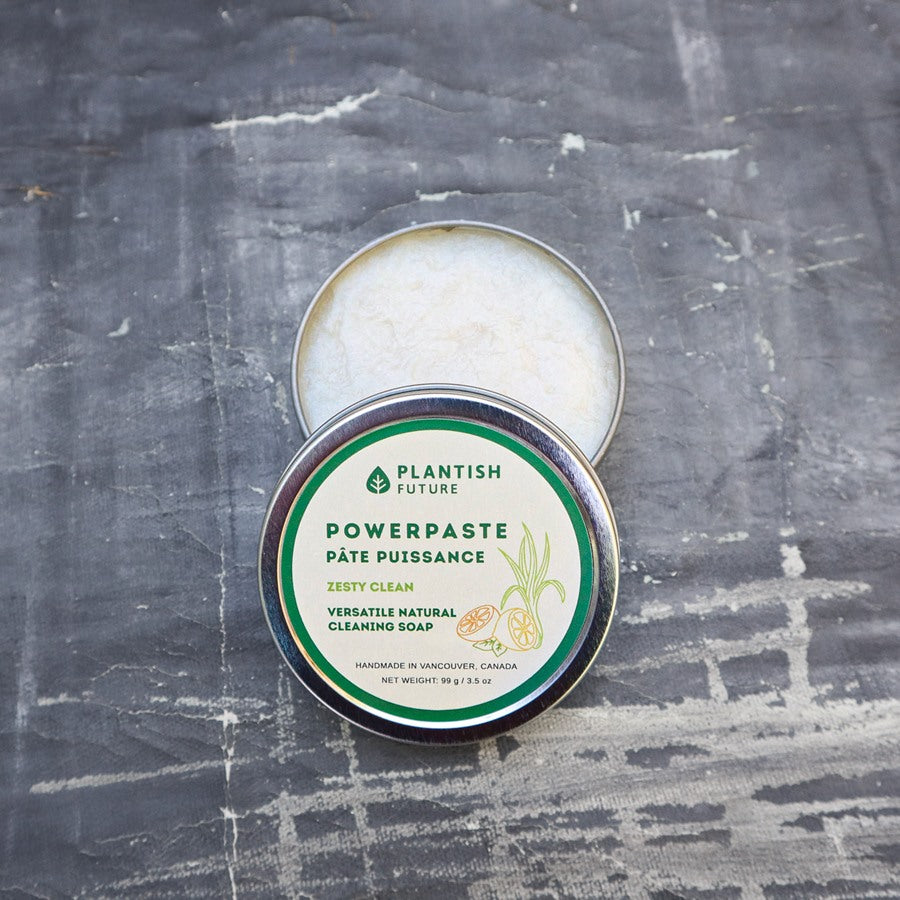 Zesty Clean - Power Paste – Plantish