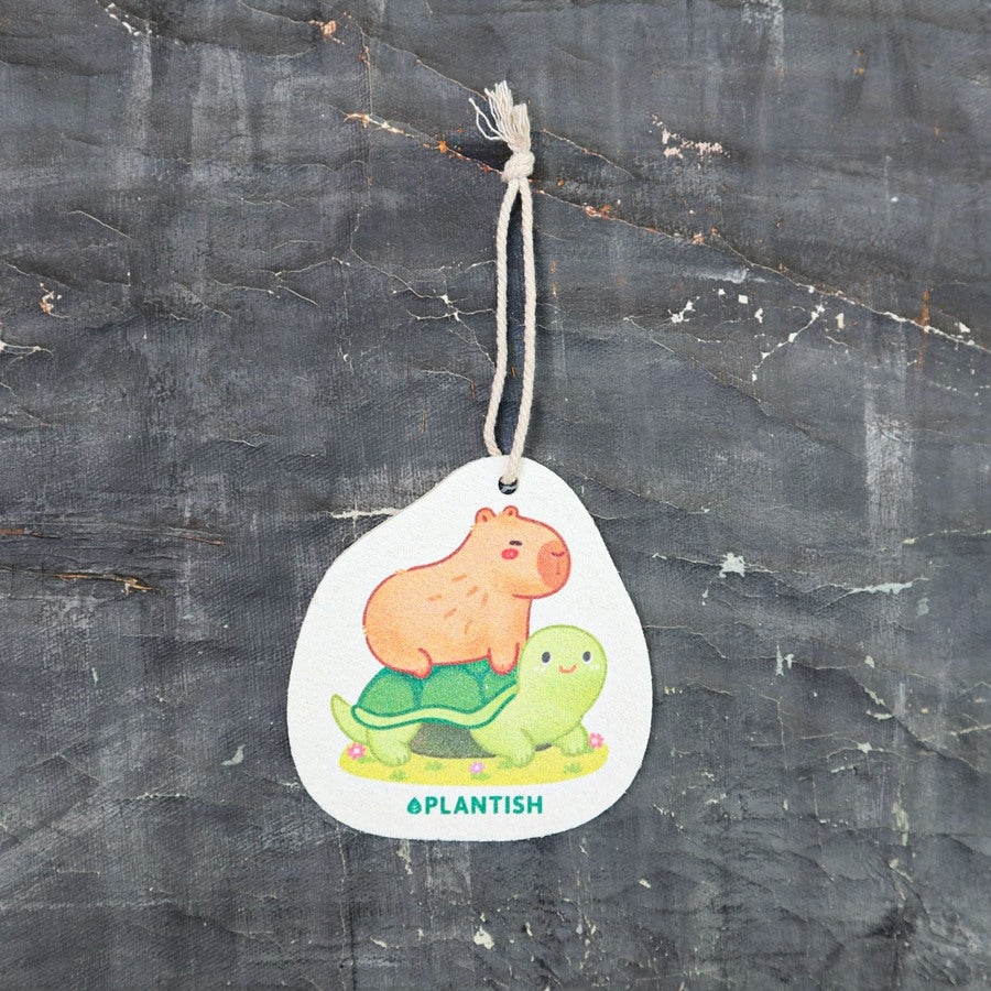 Turtle Ride - Pop up Sponge (Capybara Creations) – Plantish